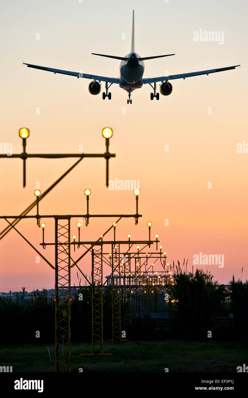 Fly landing with a sunset Stock Photo - Alamy