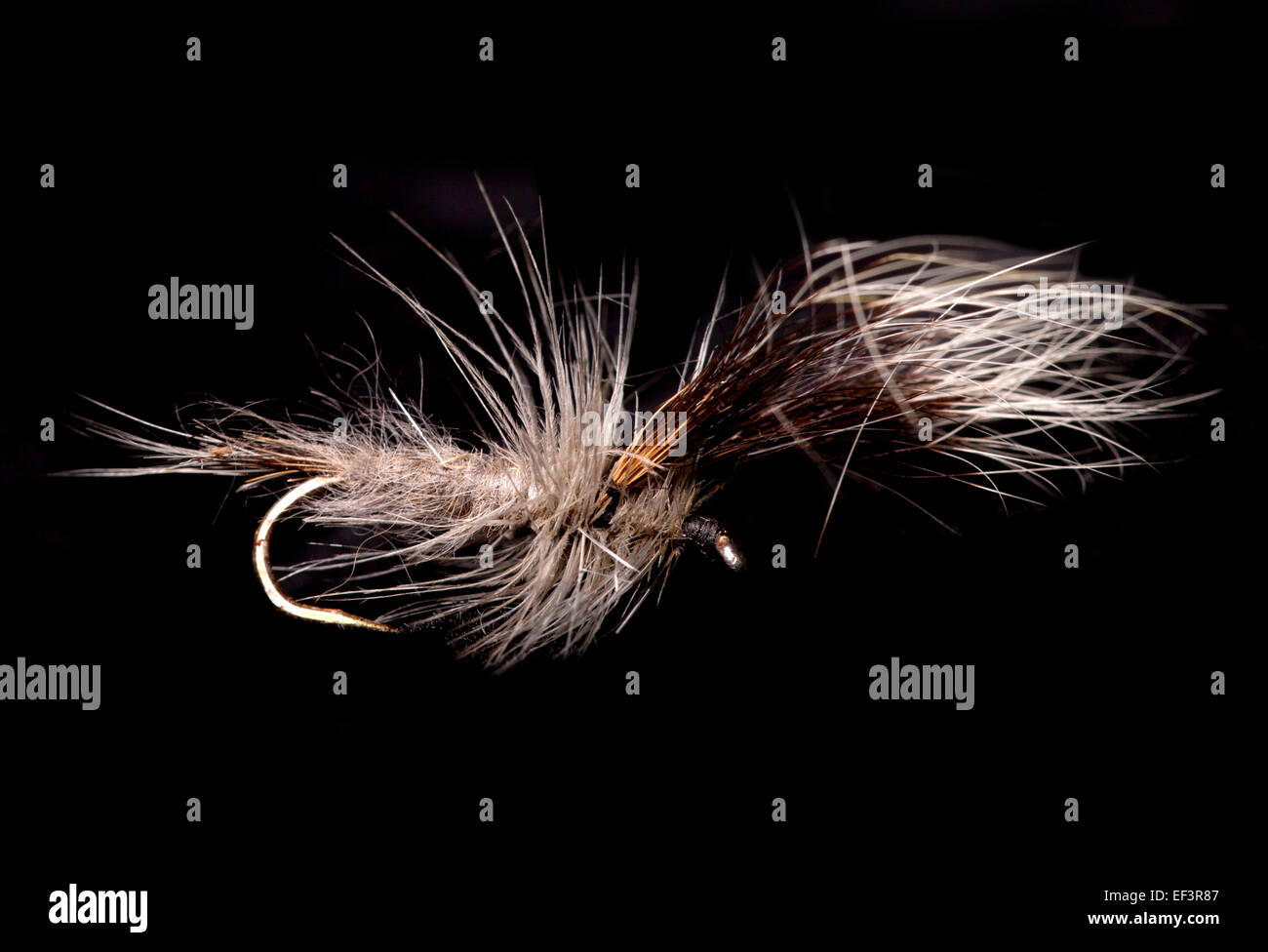 grey wulff fishing fly studio cutout Stock Photo - Alamy