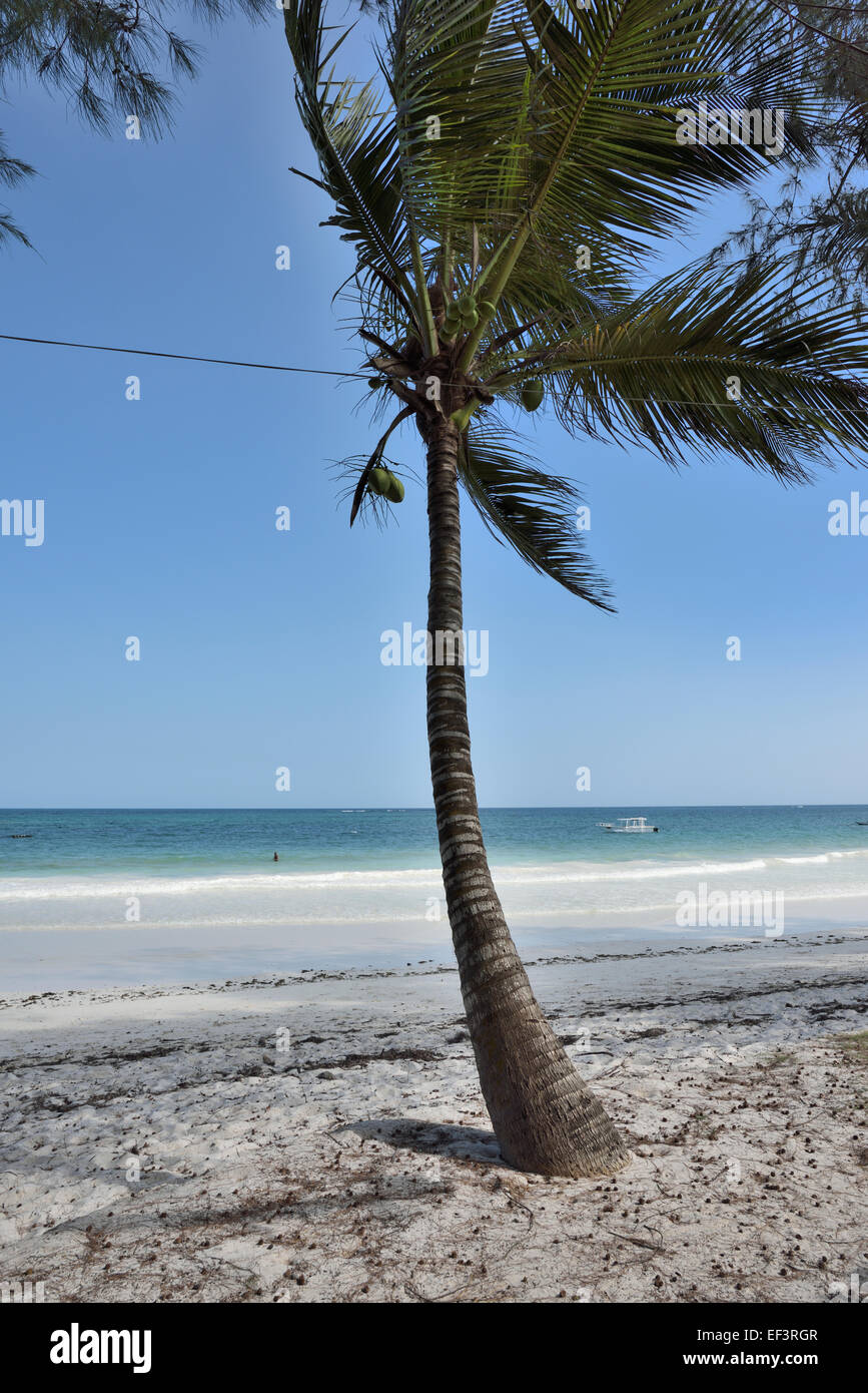 Diani beach in evening light, Diani, Ukunda, Kenya Stock Photo - Alamy
