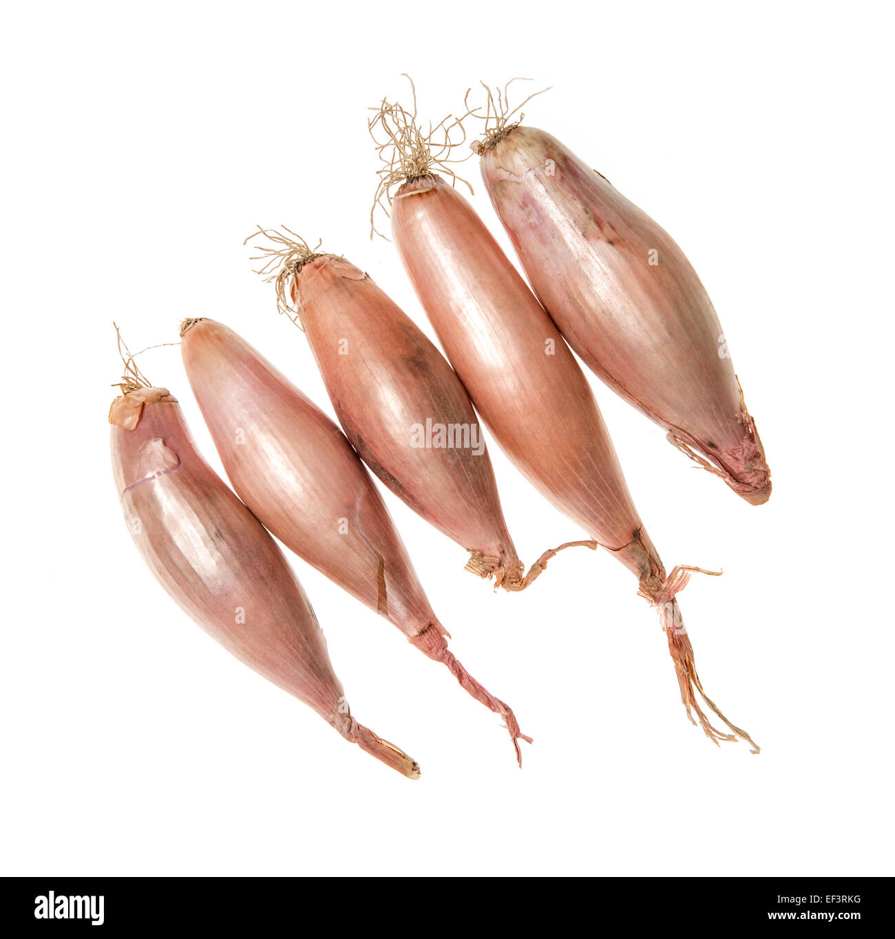 Shallots cutout on white background Stock Photo - Alamy