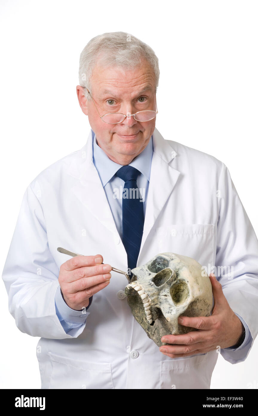 Doctor examining human skull Stock Photo - Alamy