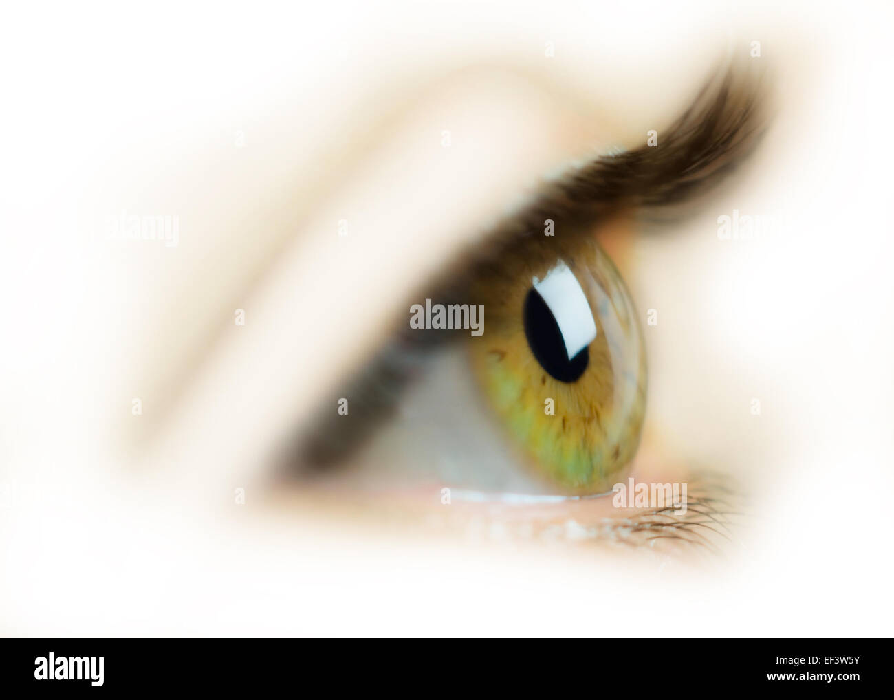 Infinite glasses hi-res stock photography and images - Alamy