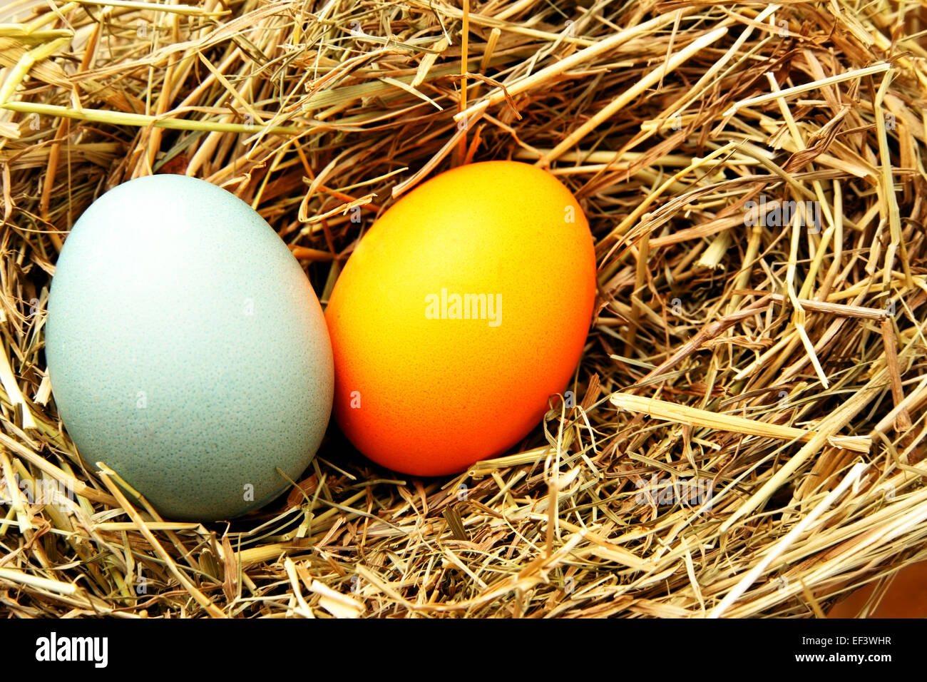 Two easter eggs closeup on straw Stock Photo - Alamy