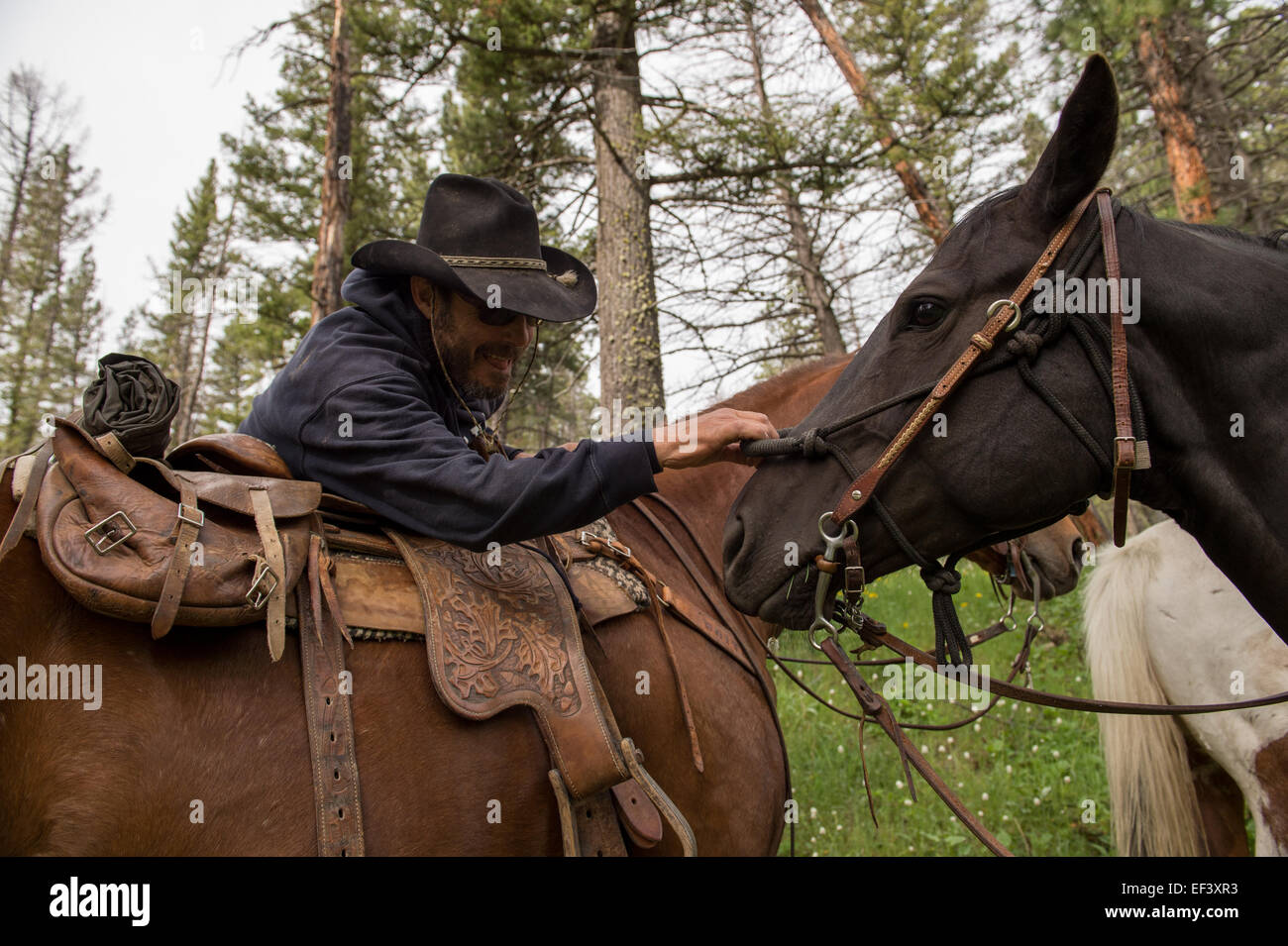 Joe Scanlon holds a horse while getting on another horse during a trail ...