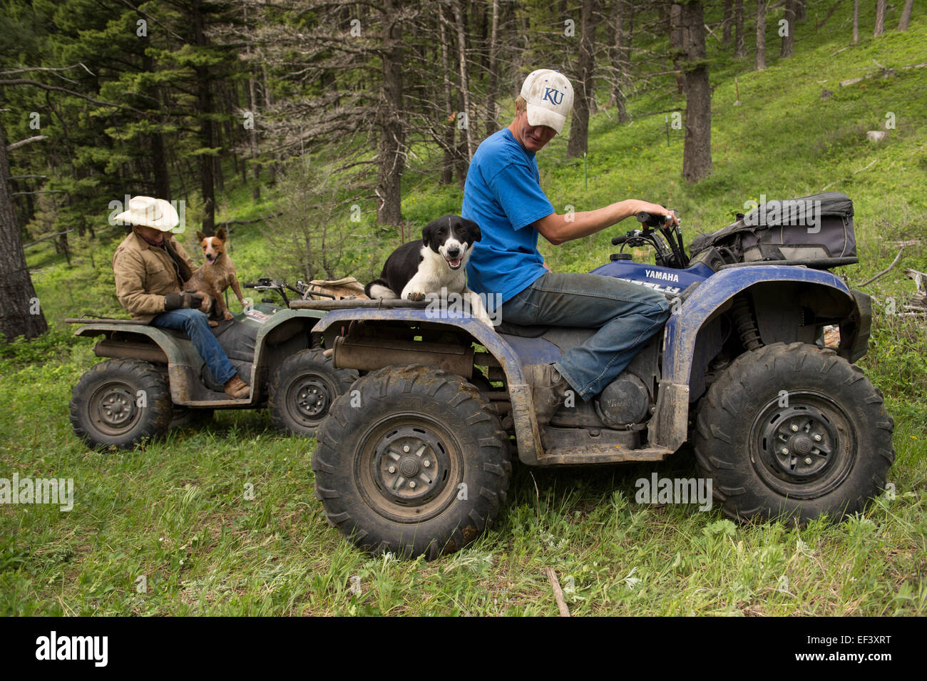 Gary Murphy, 78, a third generation Montanan his dog Reba, and his ...