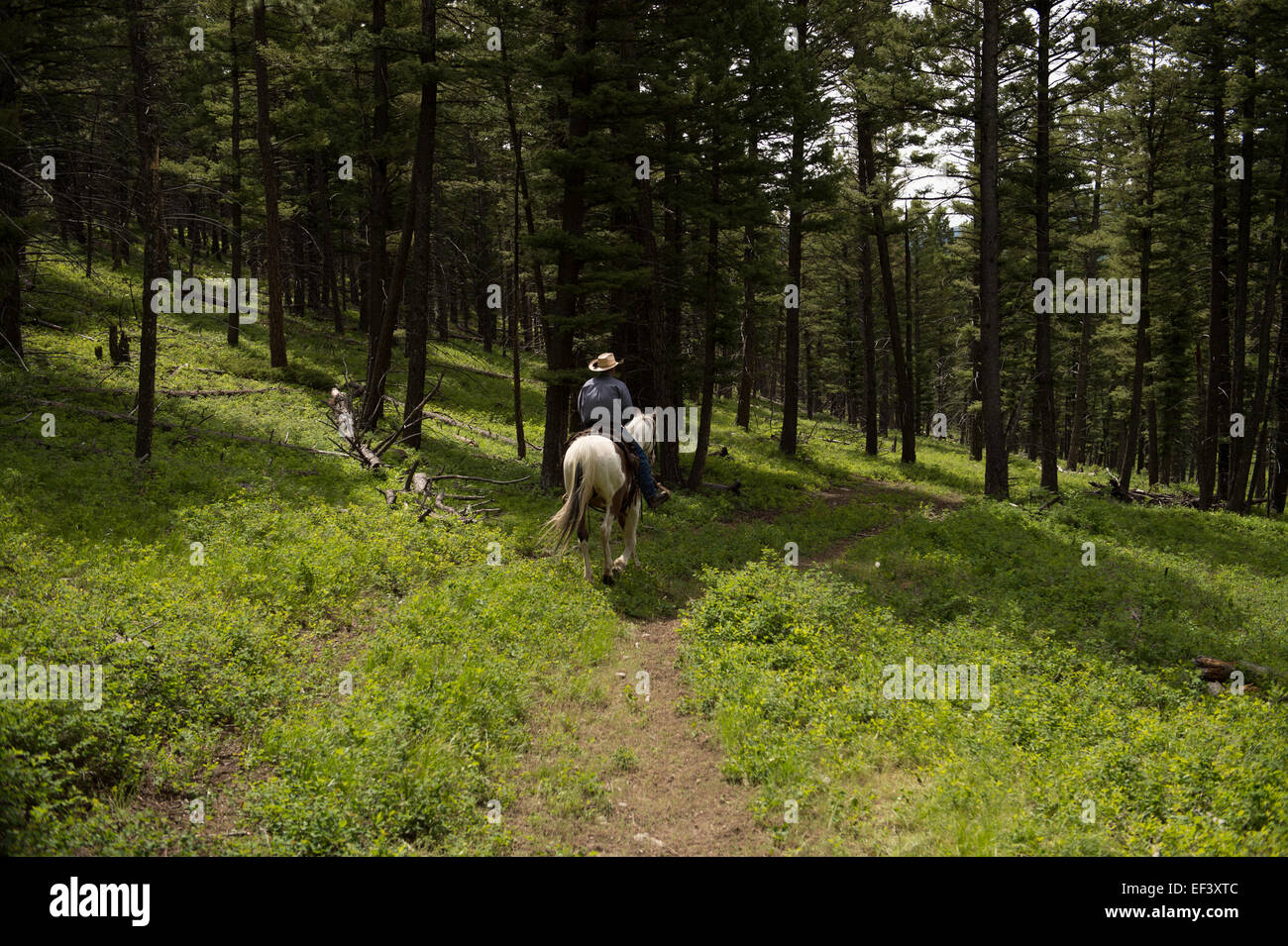 Joe Scanlon on brown horse and his friend Joe Krusch explore the ...