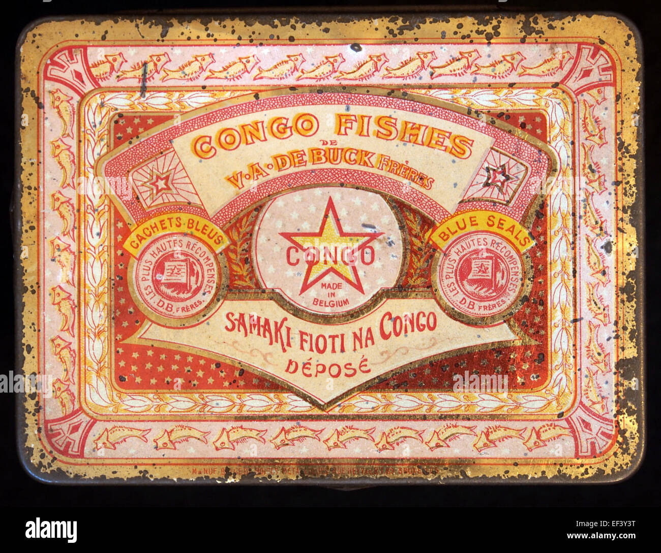 Tin tin congo hi-res stock photography and images - Alamy