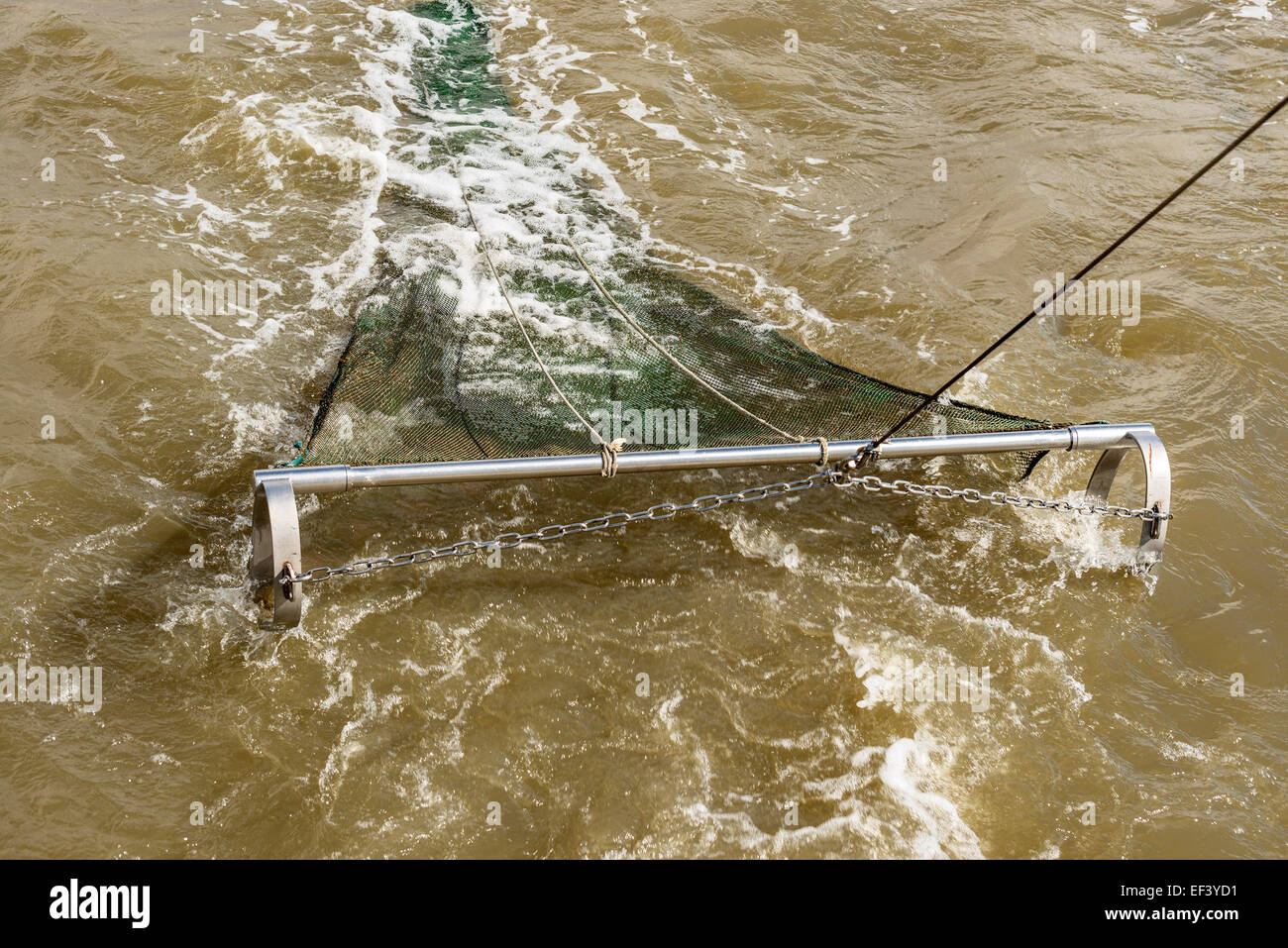 Fish net trawler catch hi-res stock photography and images - Alamy