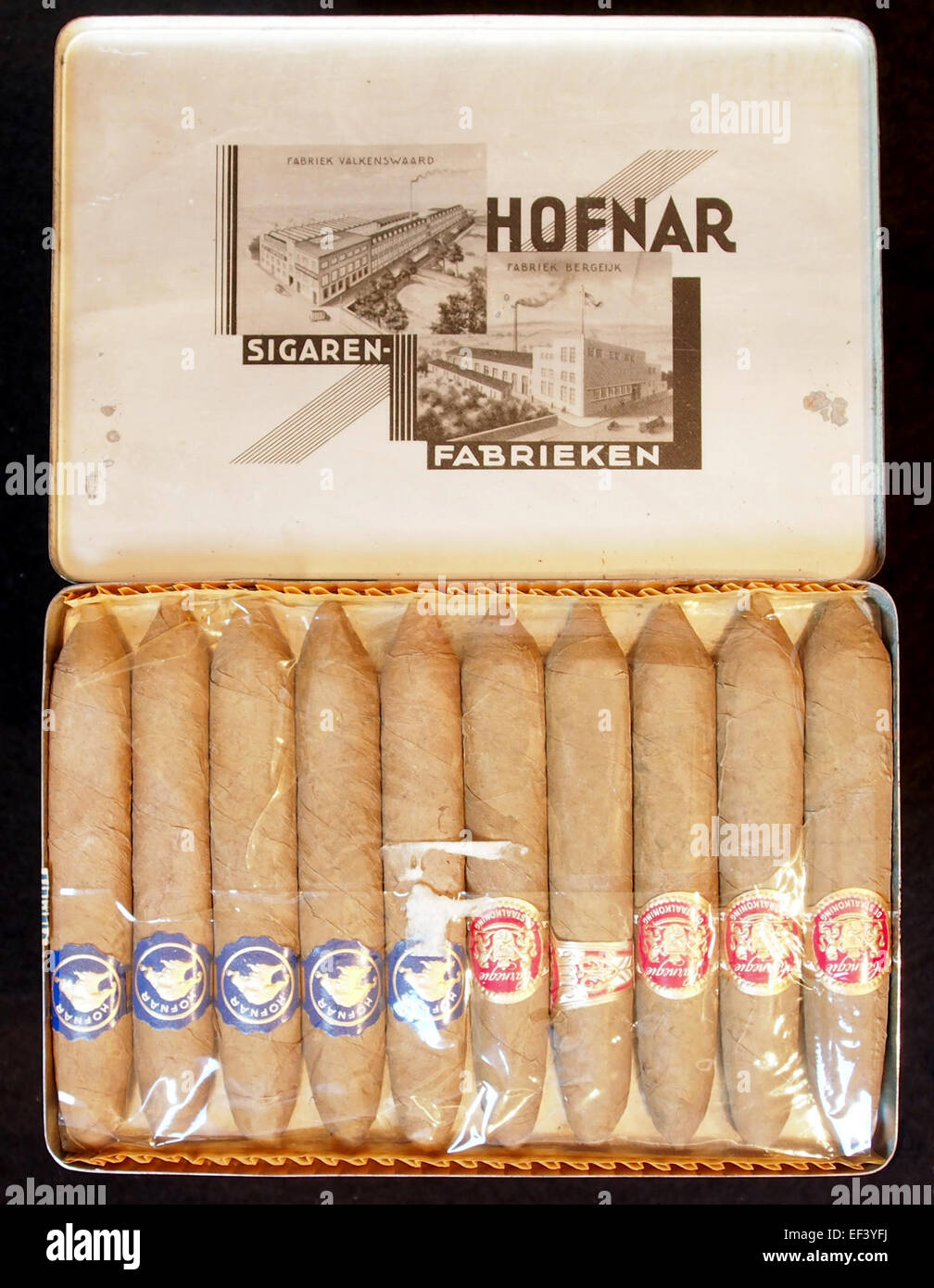 Hofnar cigars hi-res stock photography and images - Alamy