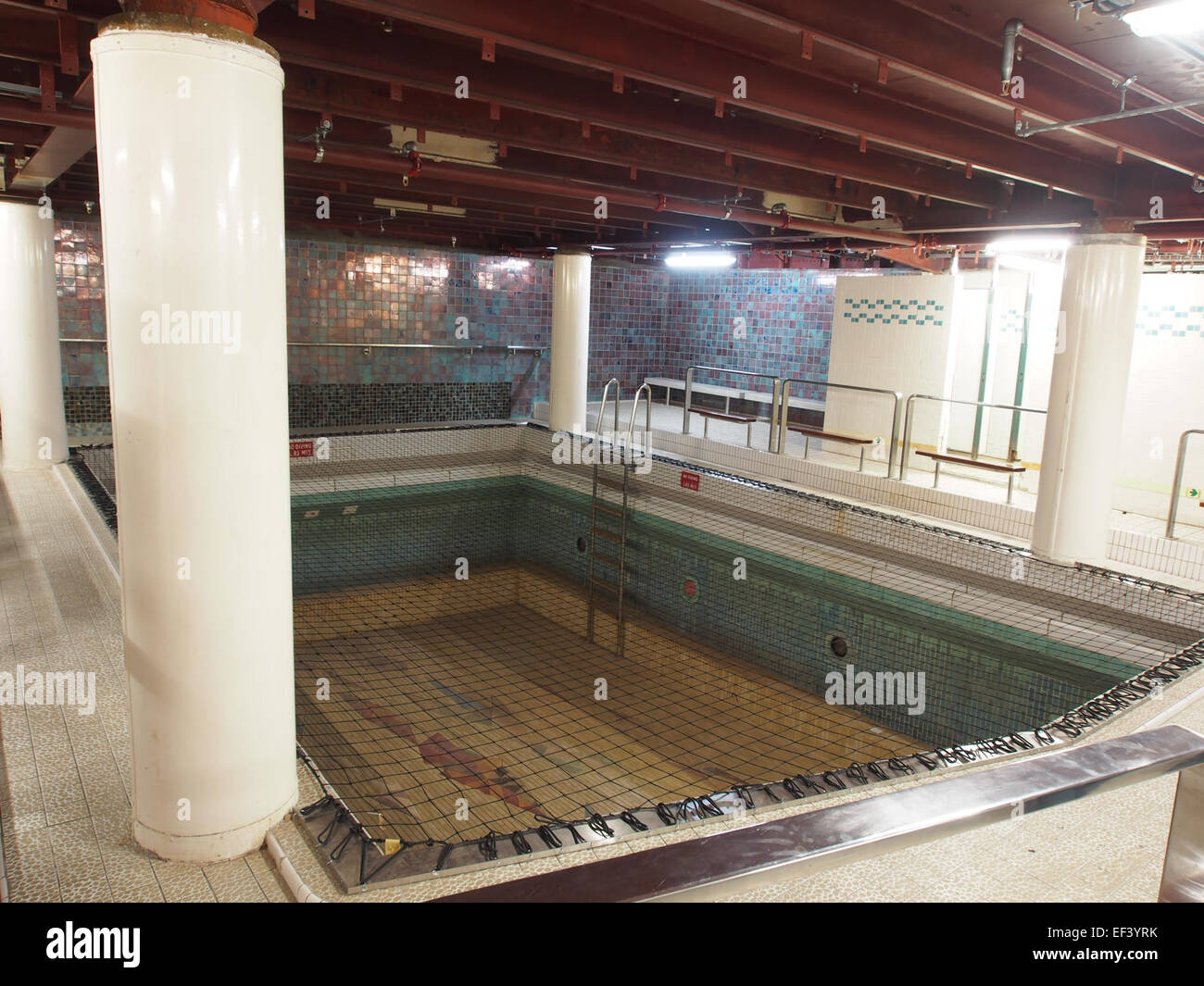 An interior view of the SS Rotterdam, specifically showcasing the ship ...