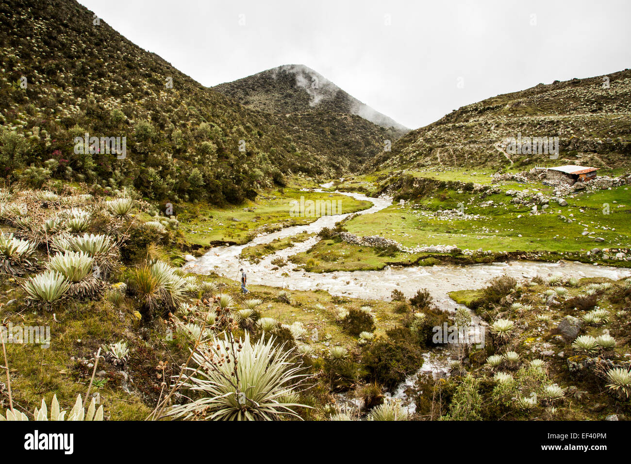 La Culata River and Del Muerto Valley, in Sierra de la Culata National ...