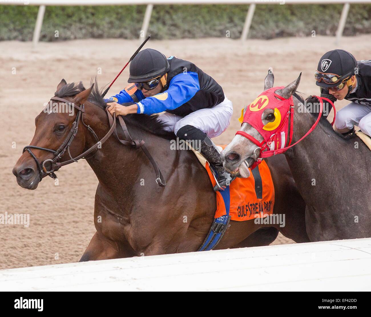 Gulfstream g3 jet hi-res stock photography and images - Alamy