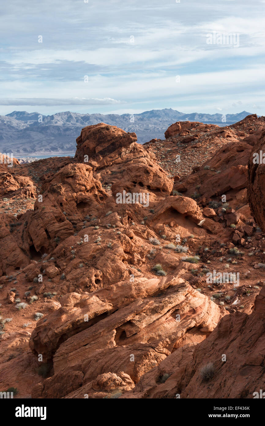 red rock landscape in the Valley of Fire state park in Southern Nevada ...