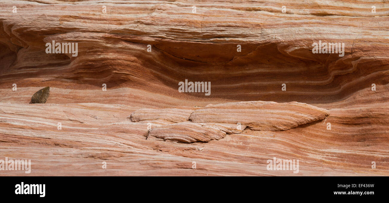 layers of eroded sandstone fin the desert of Nevada. Valley of Fire ...
