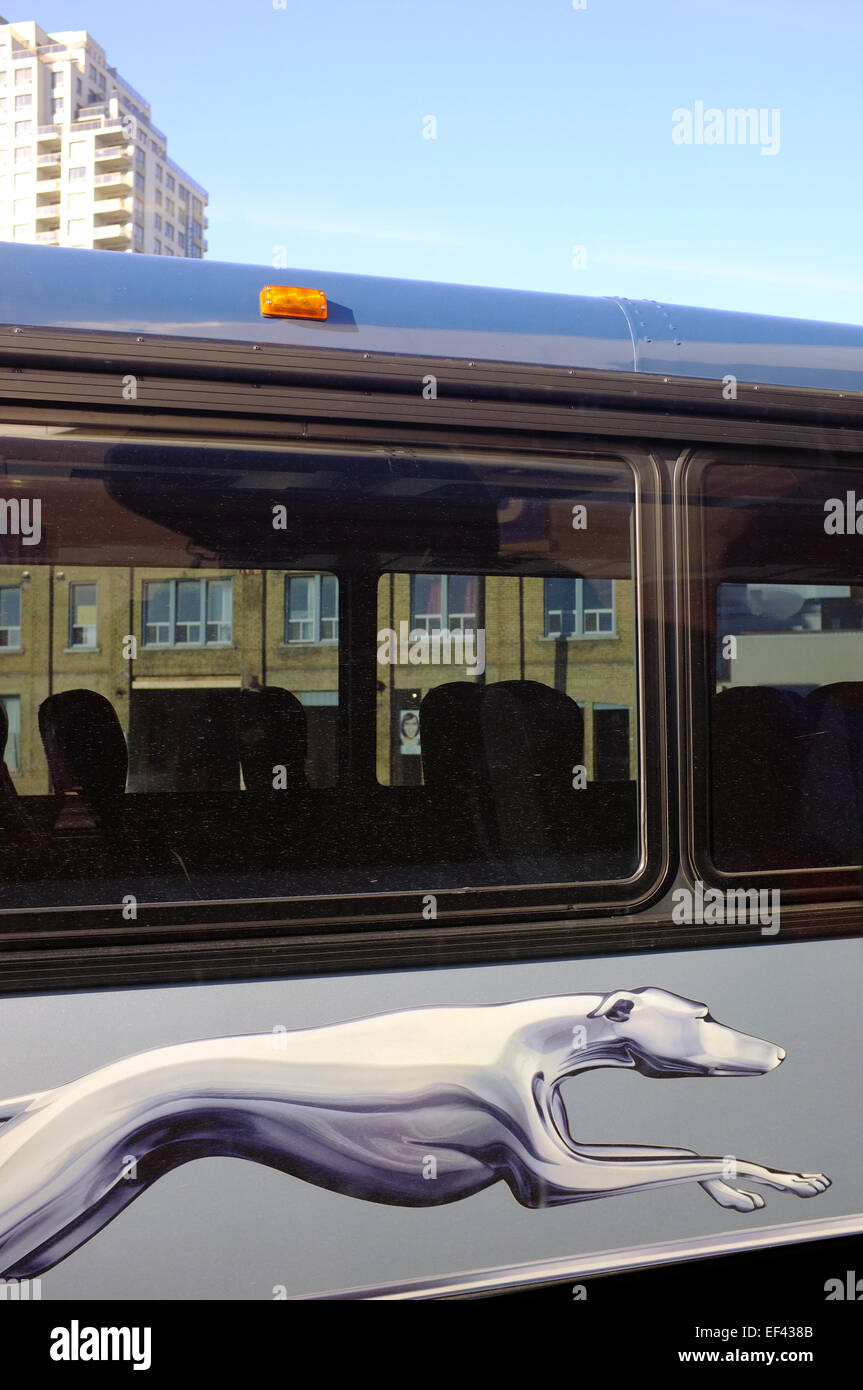 Greyhound bus logo hi-res stock photography and images - Alamy
