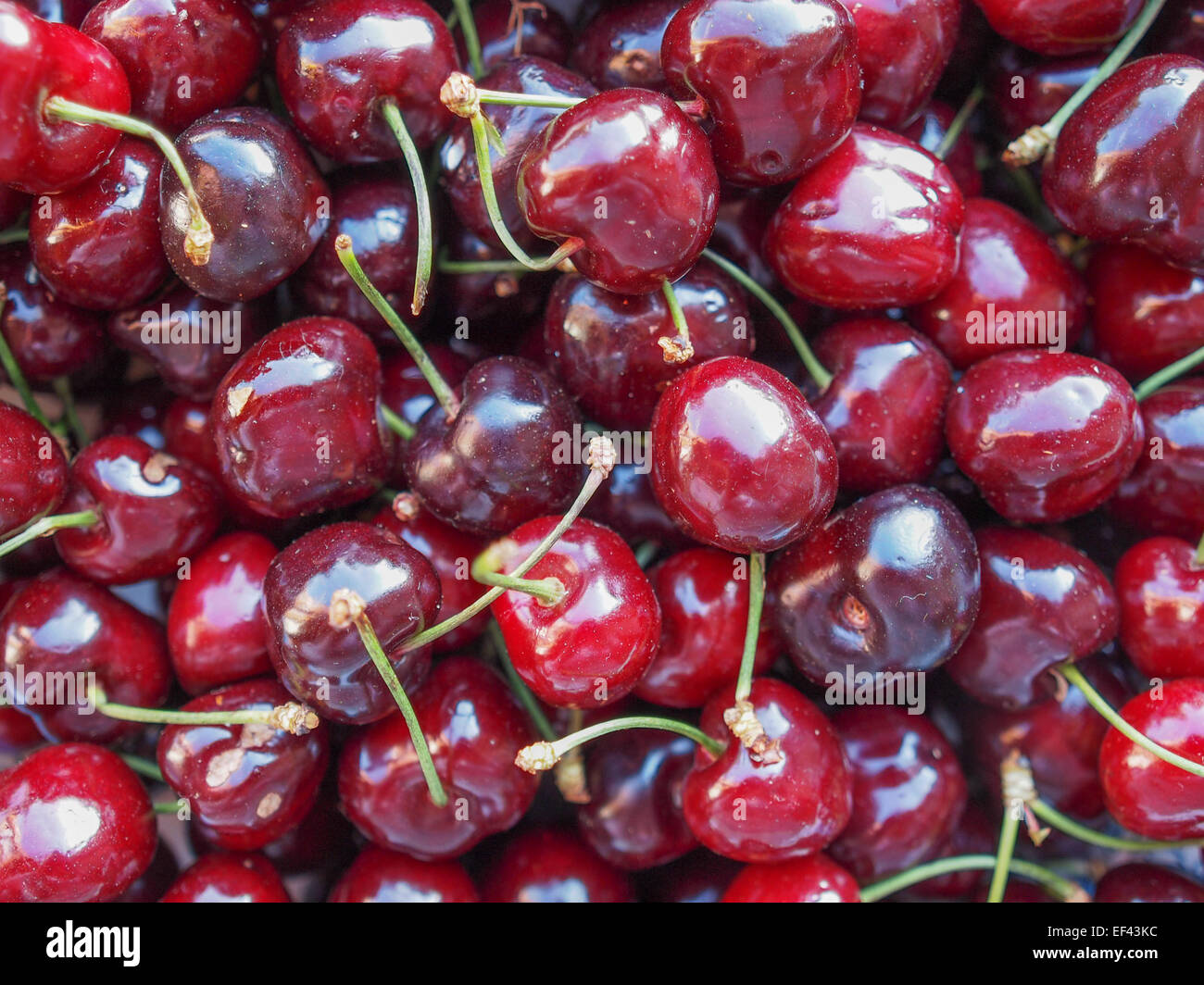 Red cherry fruits healthy vegetarian diet food Stock Photo - Alamy