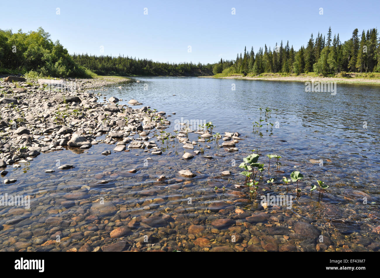 Pebble stream water feature hi-res stock photography and images - Alamy