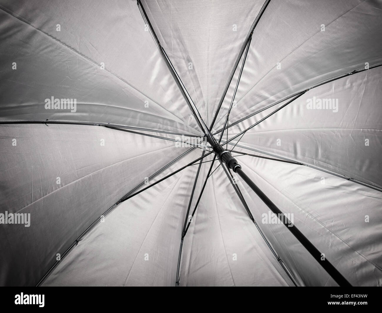 Closeup view of the inner side of an umbrella Stock Photo - Alamy