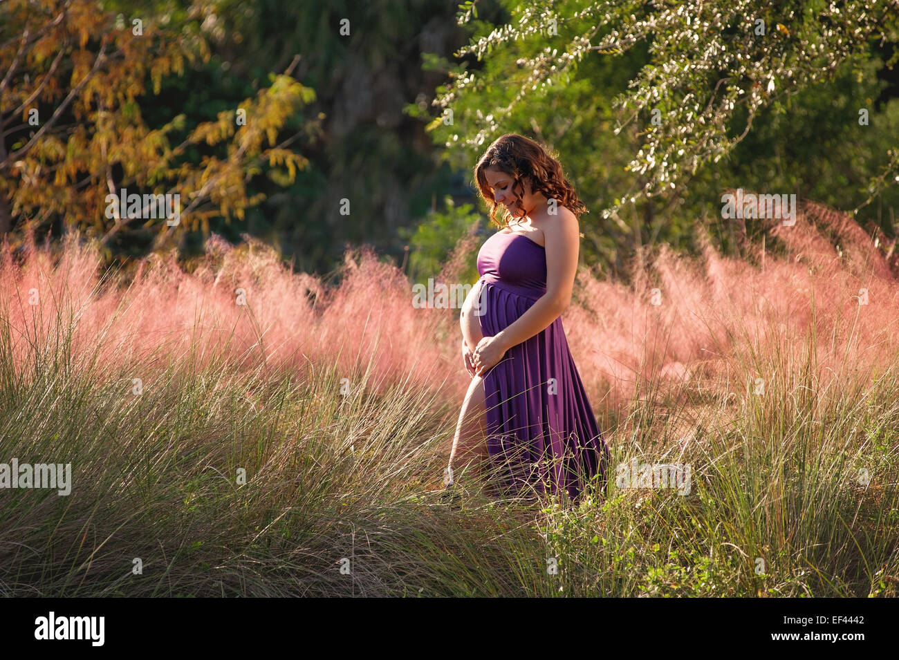 A beautiful maternity portrait taken in colorful, lush foliage in South ...