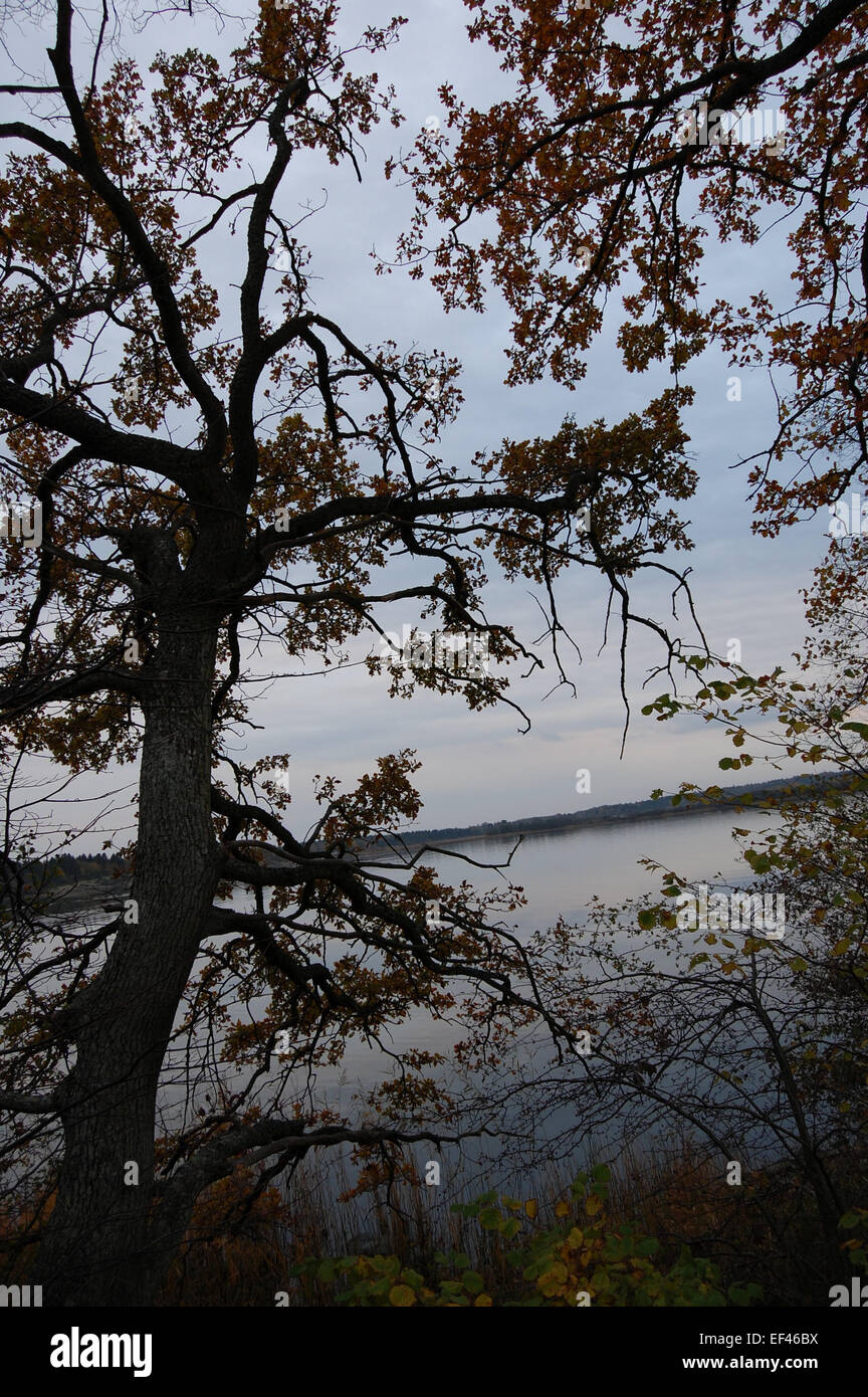 Gren animal hi-res stock photography and images - Alamy