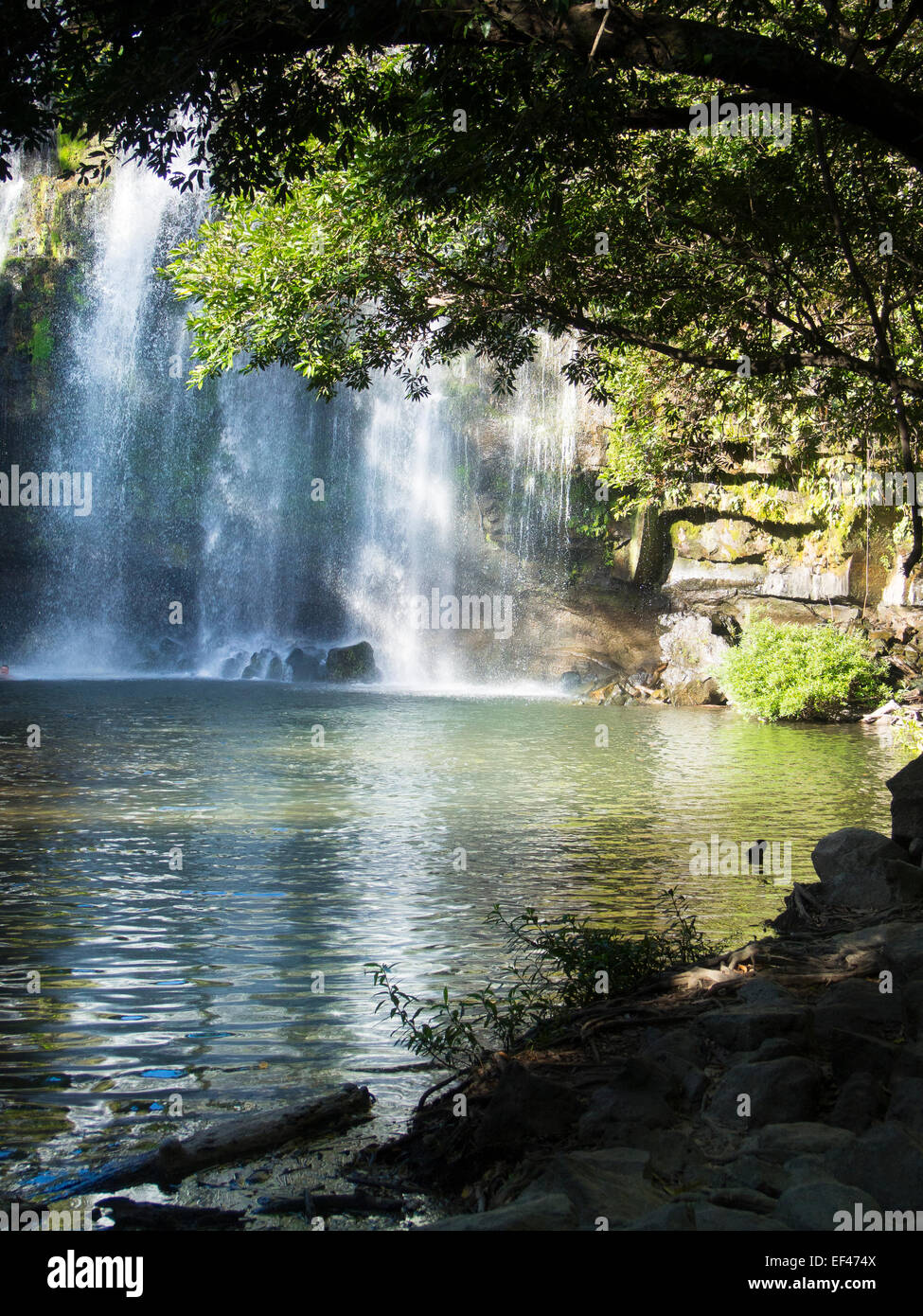 Water fall in Costa Rica Stock Photo - Alamy