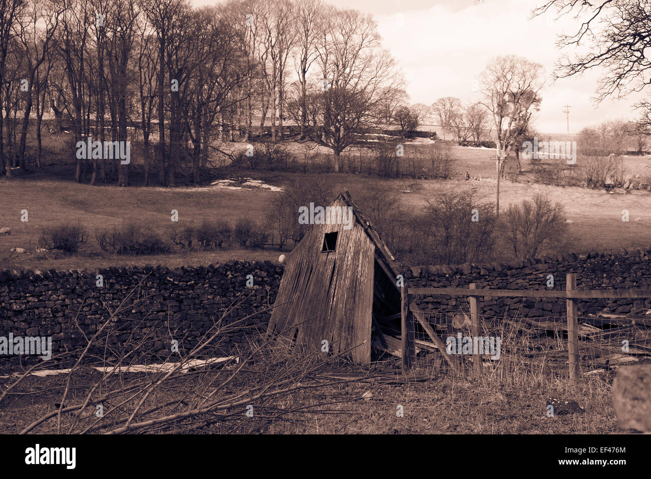 Dilapidated wooden shack in the English countryside Stock Photo - Alamy