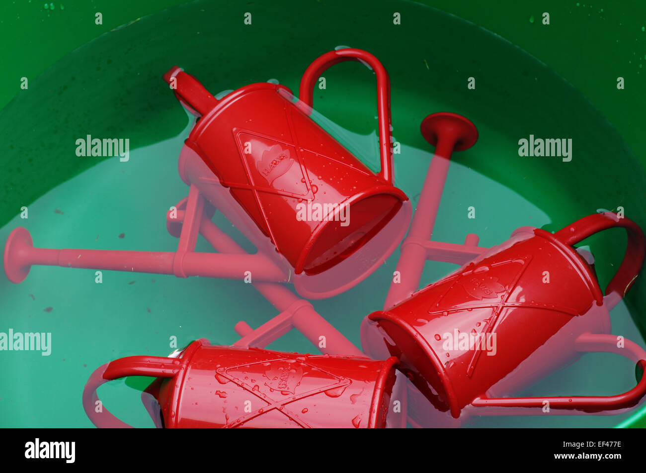 Trio of red watering cans half-submerged in a green bucket Stock Photo ...