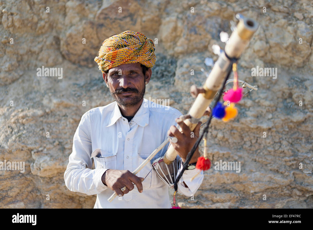 South indian musical stringed instrument hi-res stock photography and ...