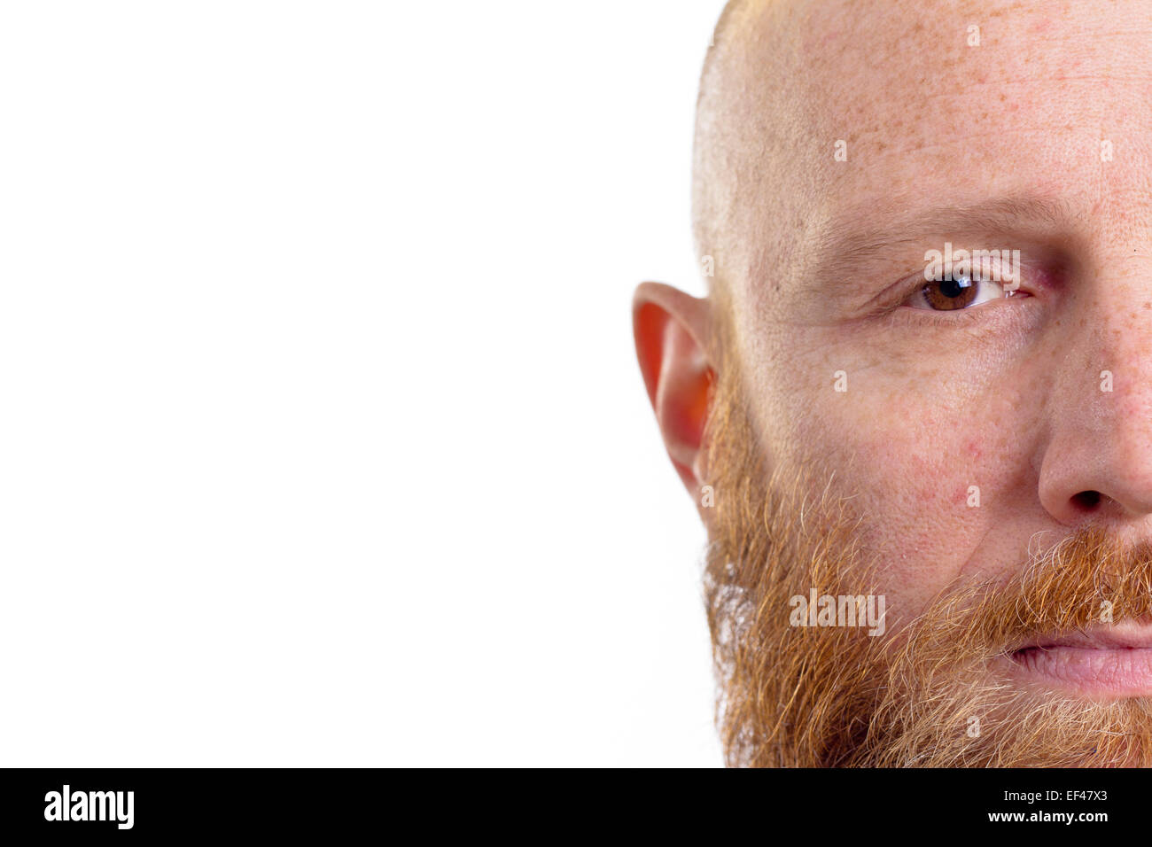 half face red beard bald man Stock Photo - Alamy