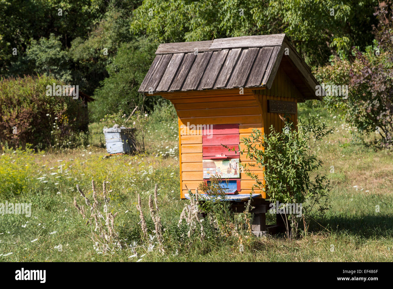 Painted traditional beehive in meadow, Cerknica, Slovenia Stock Photo ...