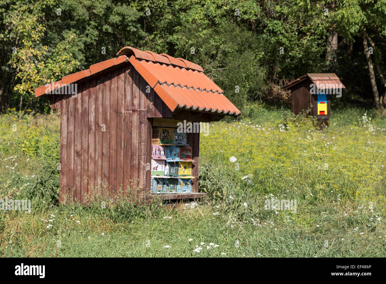 Painted traditional beehive in meadow, Cerknica, Slovenia Stock Photo ...