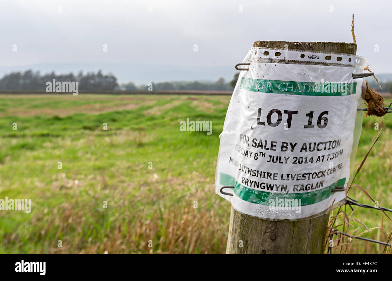 Auction sign hi-res stock photography and images - Alamy