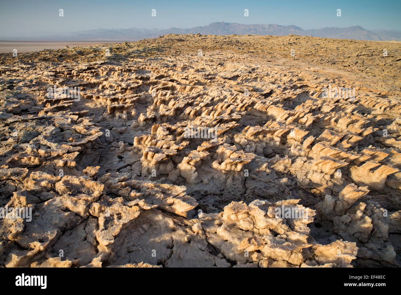 Danakil desert hi-res stock photography and images - Alamy