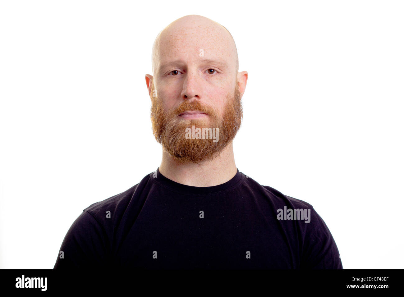 bald man with red beard Stock Photo - Alamy bald man with red beard Stock Photo - Alamy