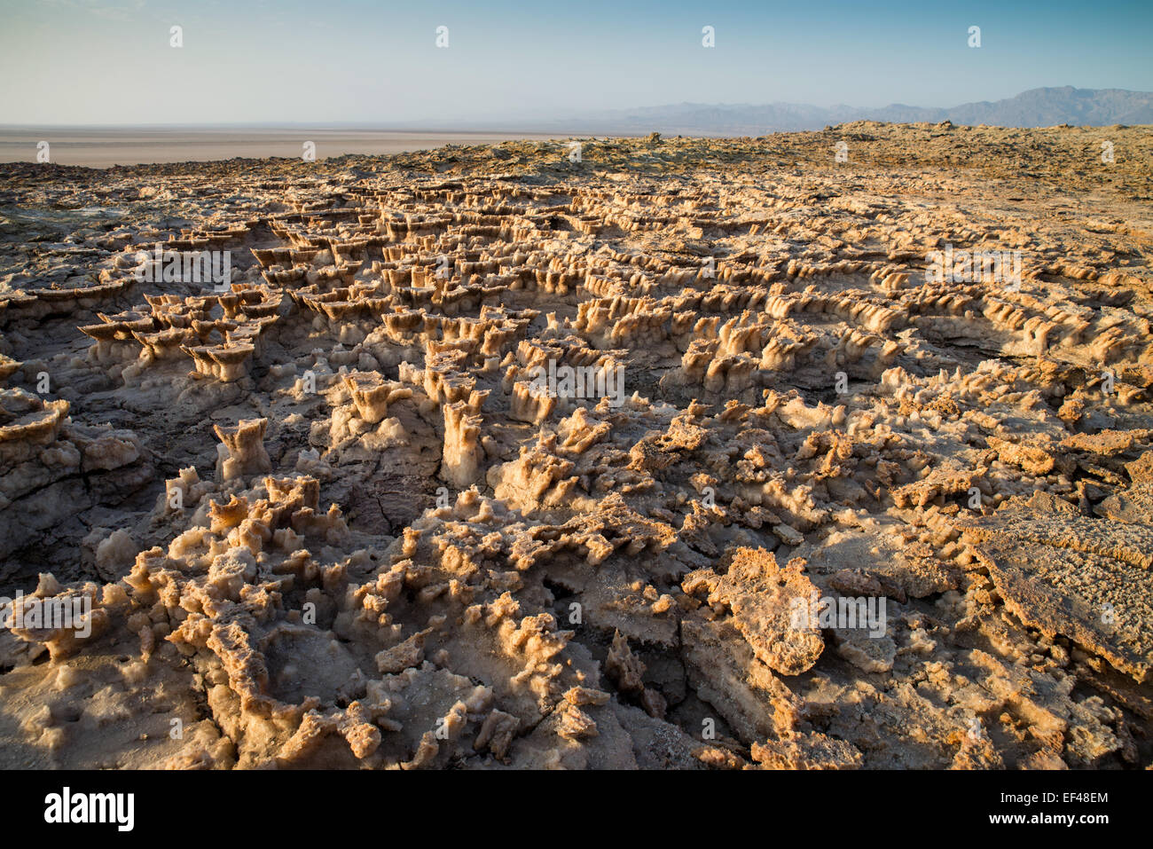 The wonders of ethiopia hi-res stock photography and images - Alamy