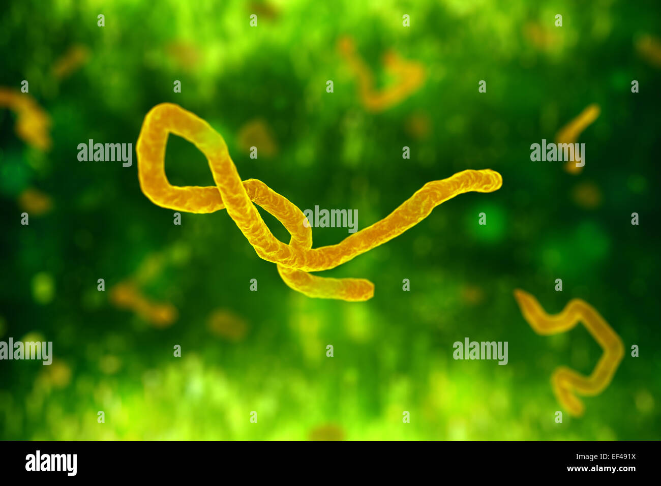 Virus or infection background Stock Photo - Alamy