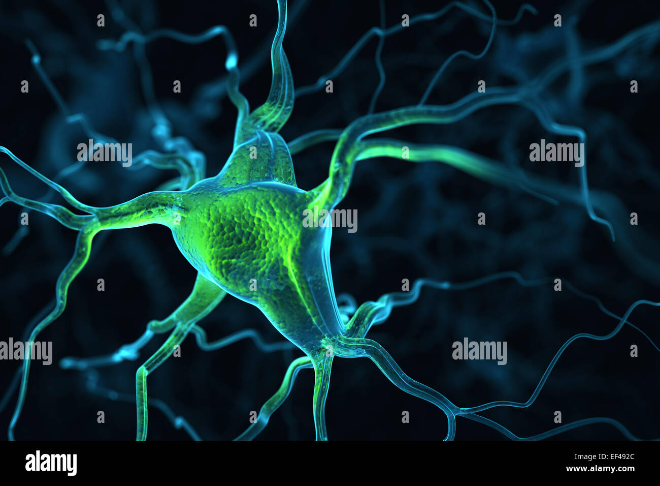 Neuron synapse hi-res stock photography and images - Alamy