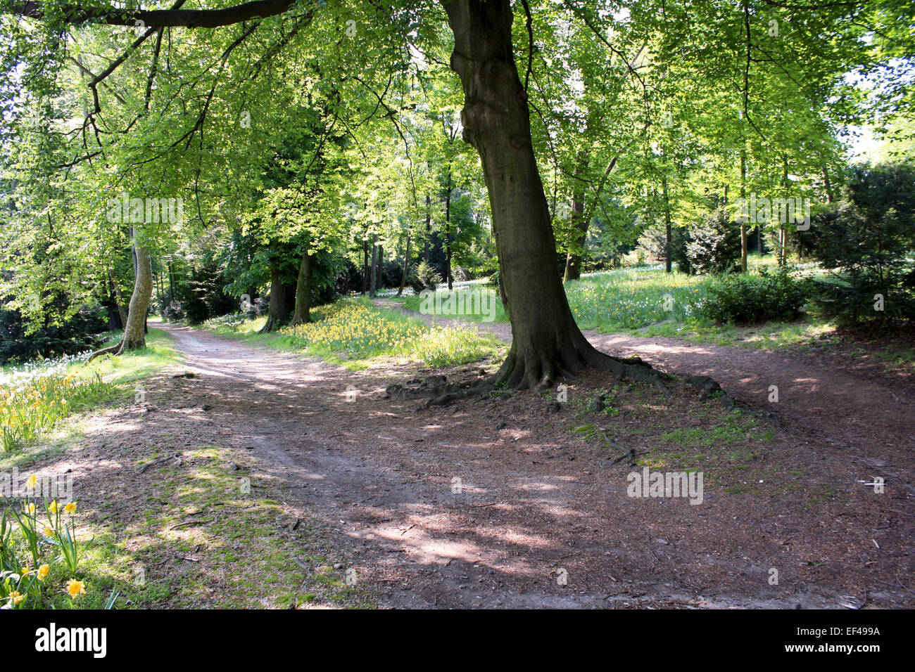 Castello e parco di masino hi-res stock photography and images - Alamy