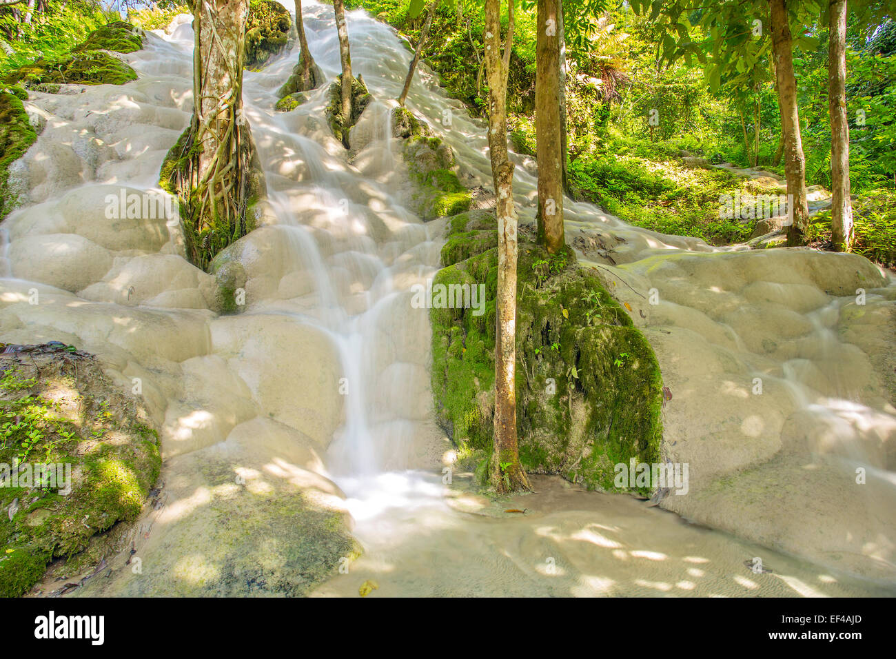 Bua tong waterfall hi-res stock photography and images - Alamy