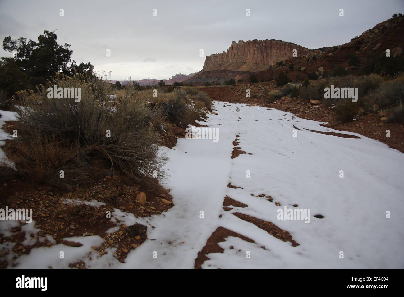 winter in capitol reef national park, utah photo by jen lombardo Stock ...