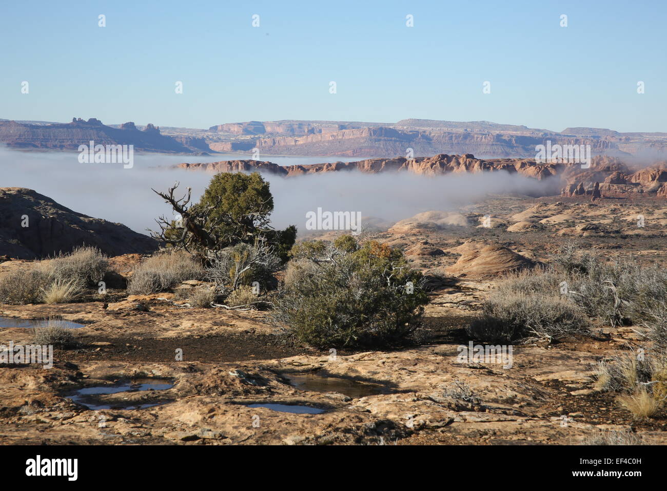 inversion fog after sunrise in arches national park, utah photo by jen ...