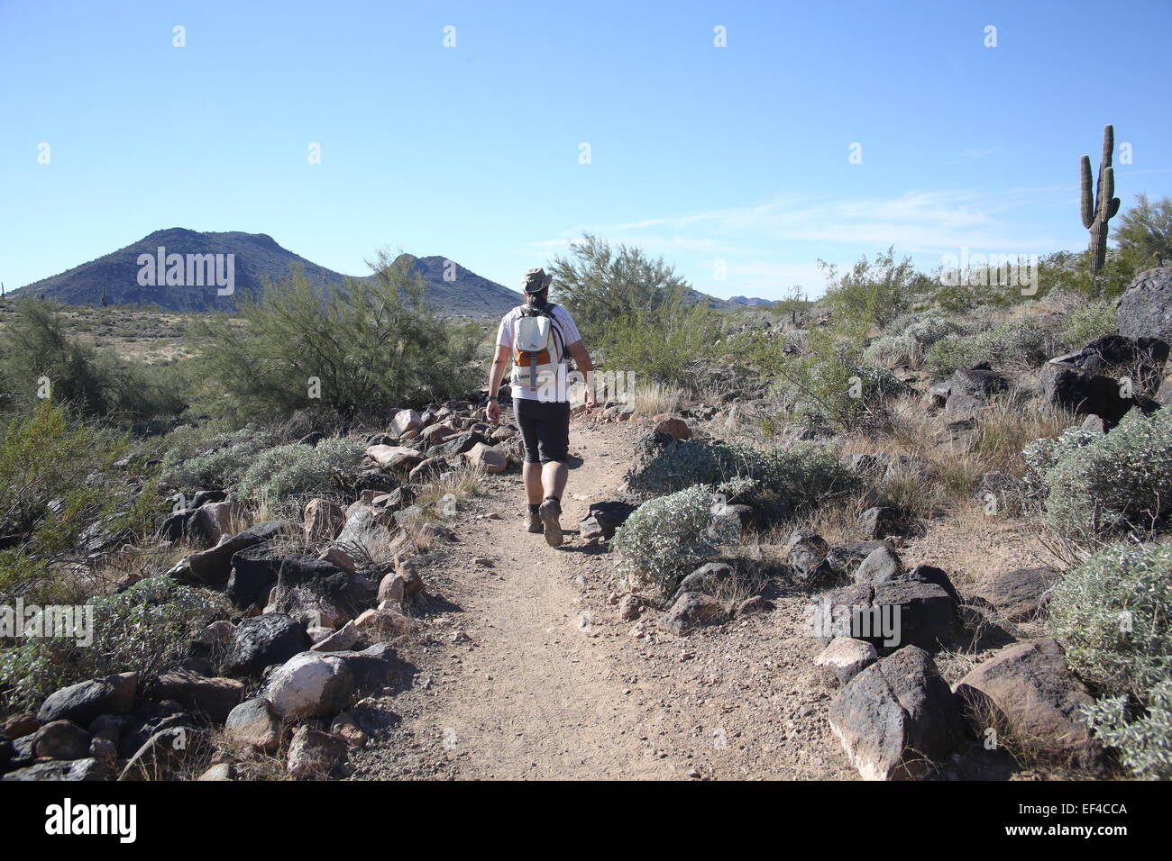 hiking in deem hills in phoenix, arizona photo by jen lombardo Stock ...