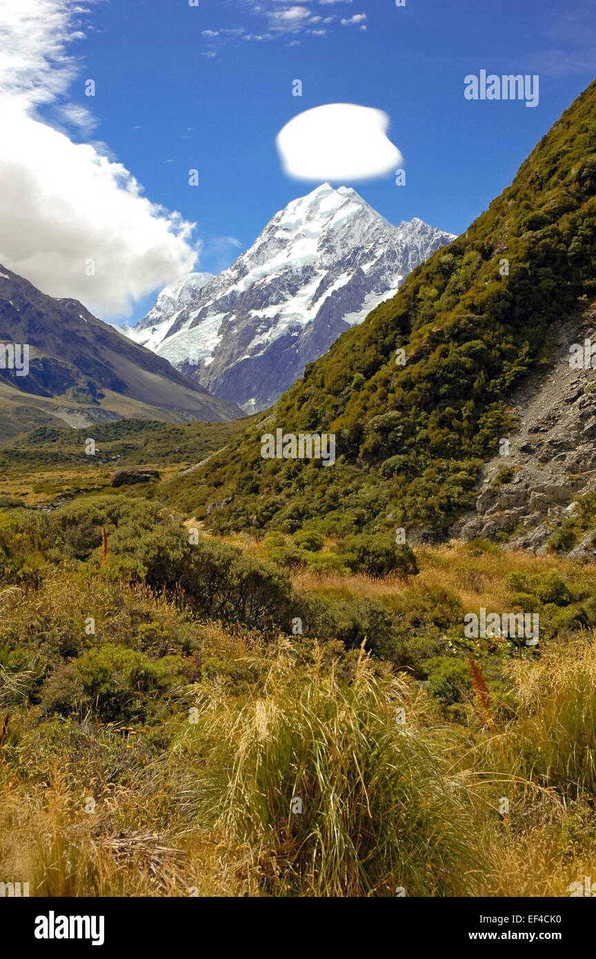 Aoraki - Mount Cook, South Island, New Zealand Stock Photo - Alamy
