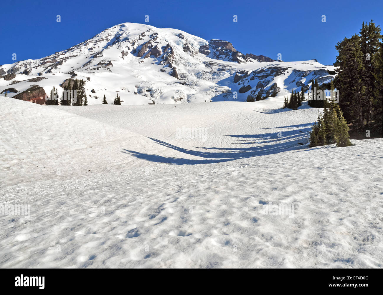 Mount Rainier, Cascades Range, Washington State, USA Stock Photo - Alamy