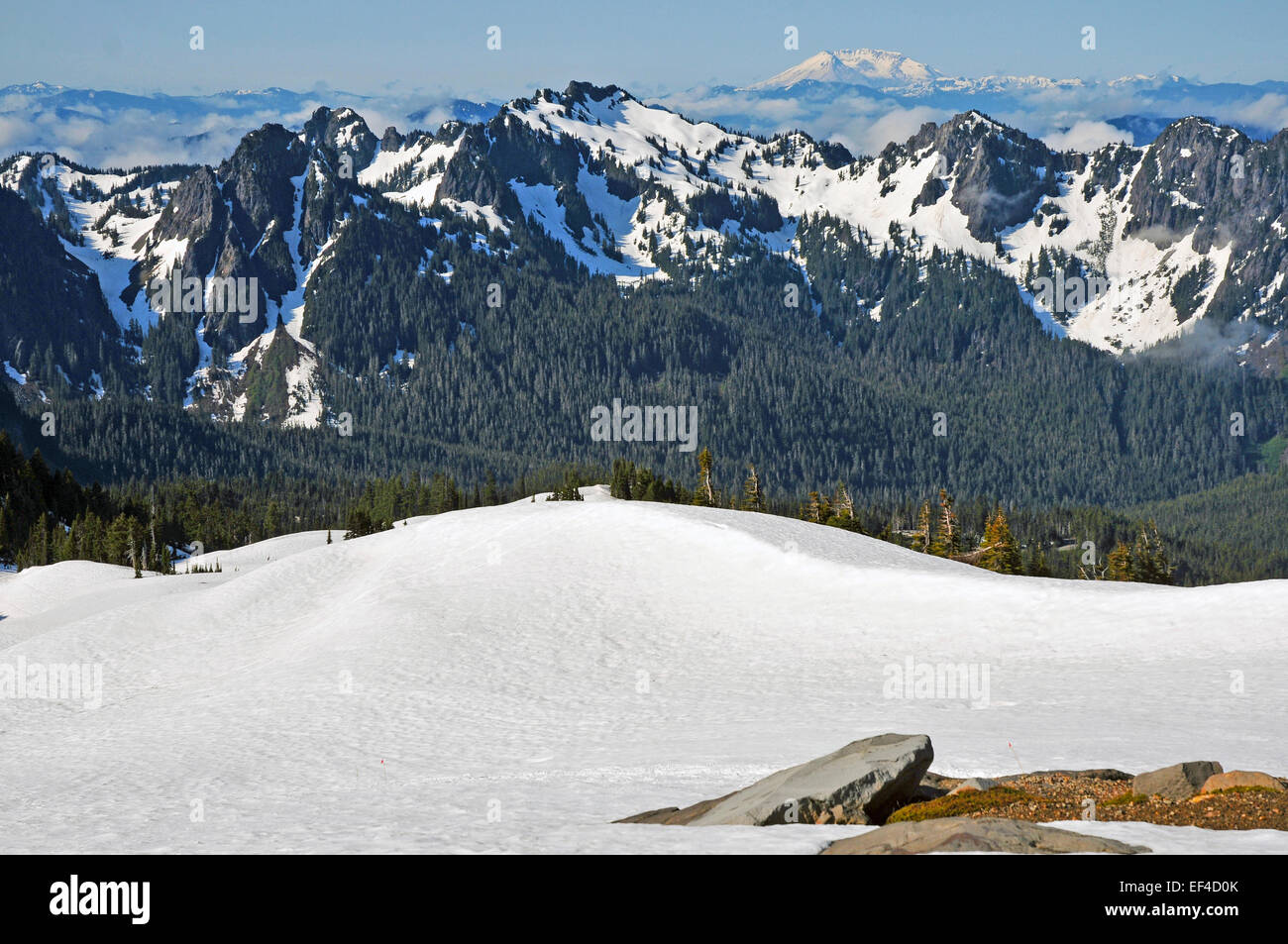 Mount Rainier, Cascades Range, Washington State, USA Stock Photo - Alamy