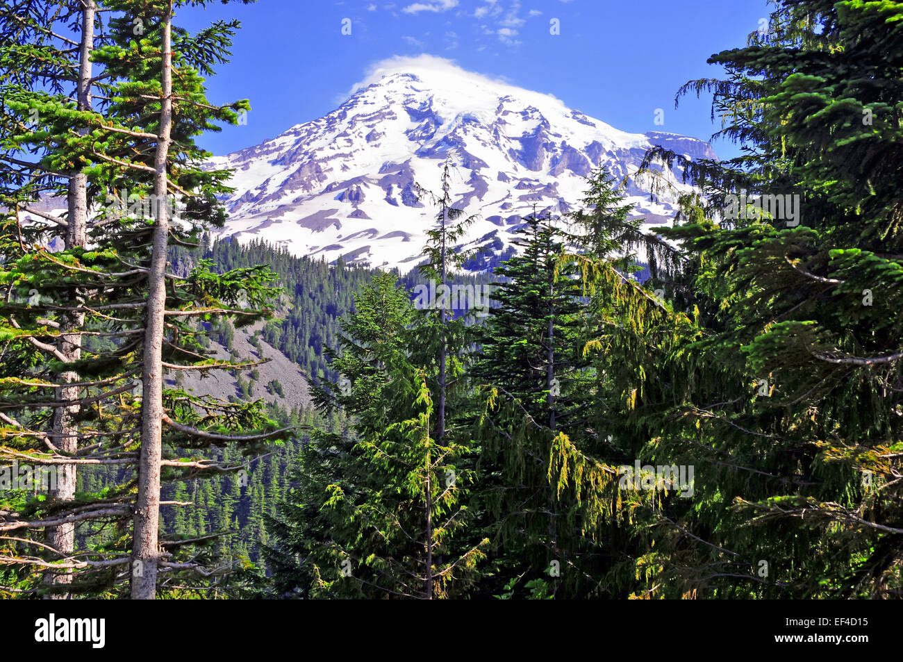 Mount Rainier, Cascades Range, Washington State, USA Stock Photo - Alamy