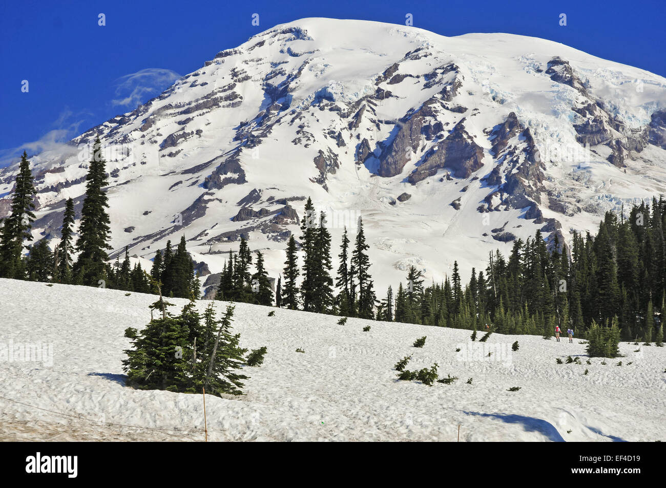 Mount Rainier, Cascades Range, Washington State, USA Stock Photo - Alamy