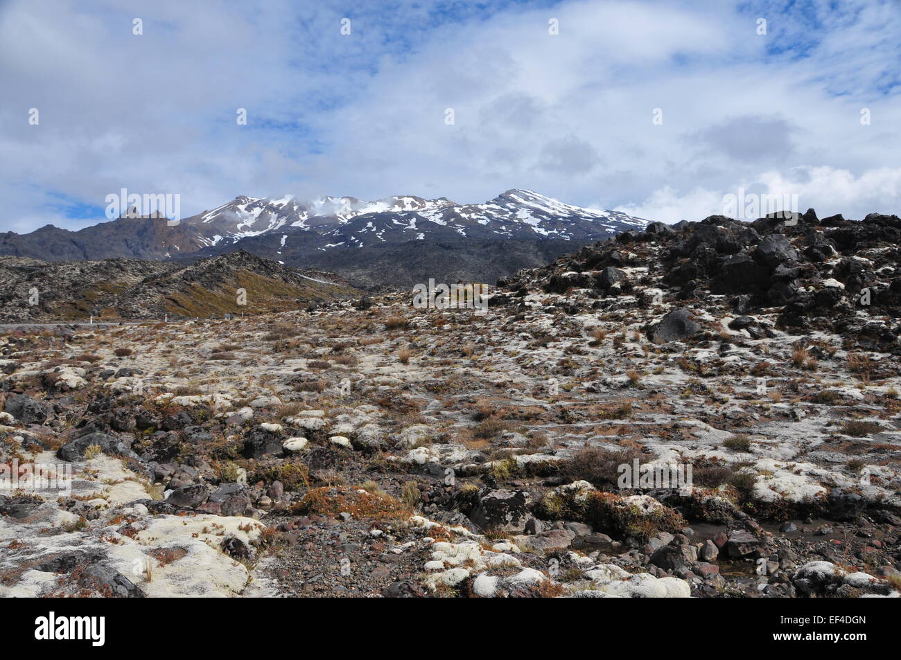 Mount Ruapehu near Tongariro National Park, New Zealand Stock Photo - Alamy
