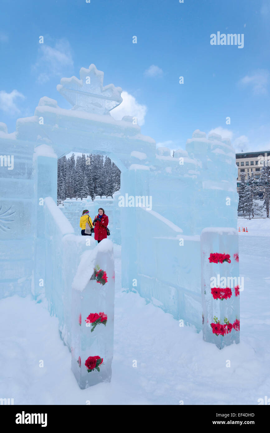 Roses encased in ice castle wall, Lake Louise, Banff National Park ...