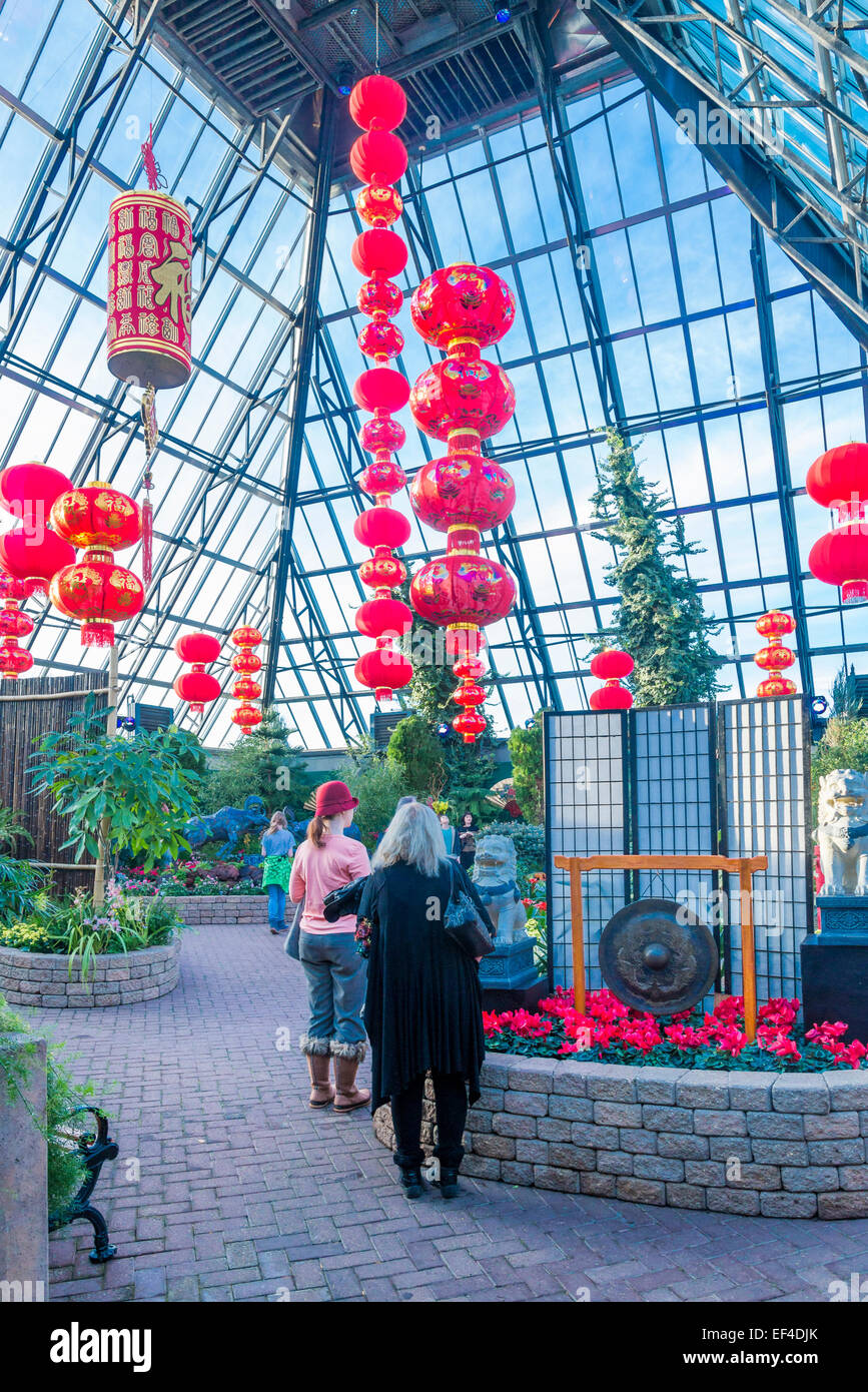 Red Chinese lanterns, in feature pavilion celebrate the Chinese New ...